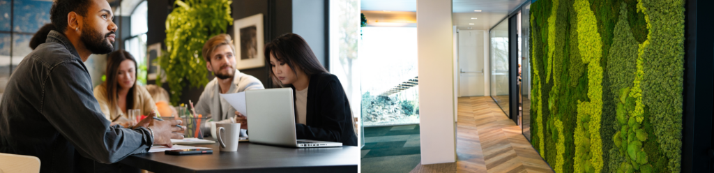 ESG in the Workplace: How to Create a Sustainable Office - Strategy Hat